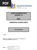 Cell Riddles Answer Key | PDF | Cell (Biology) | Endoplasmic Reticulum
