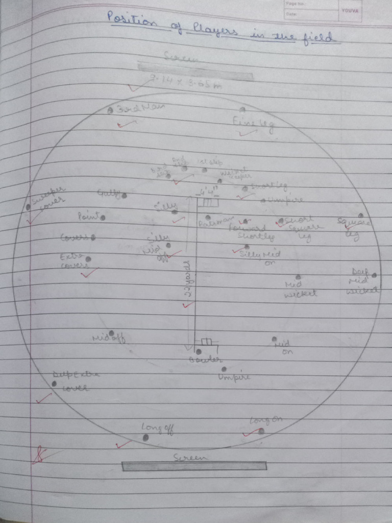 Ped Work Class Notes of Cricket | PDF