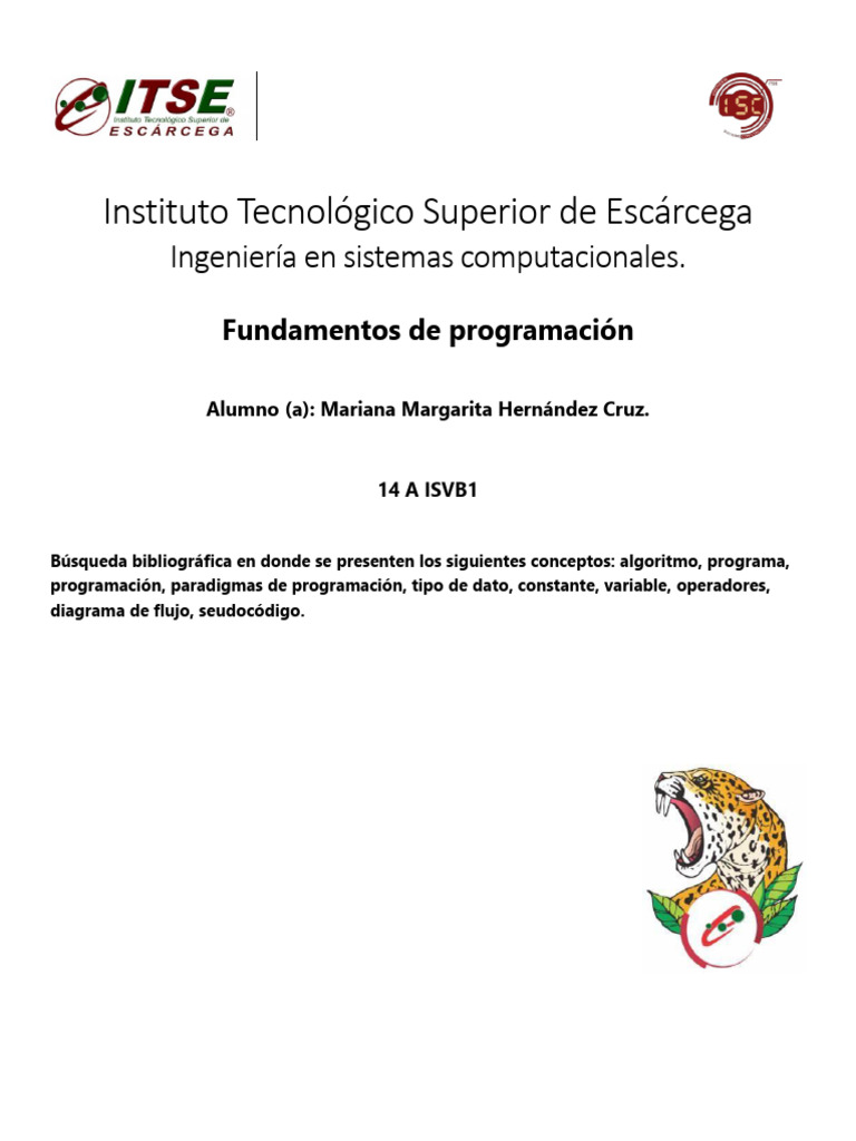 Conceptos Basicos | PDF | Lenguaje de programación | Programación de ...