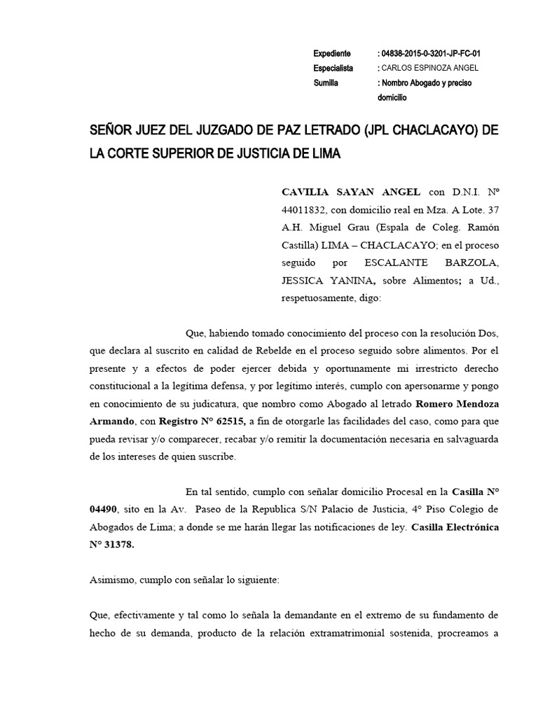 Escrito De Nombramiento De Abogado Pdf Pensión Alimenticia Justicia