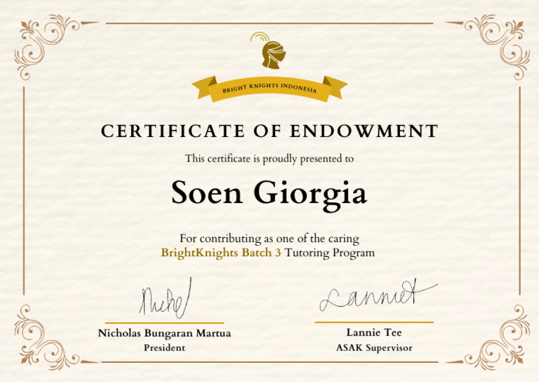 Certificate of BrightKnights Batch 3 Tutoring Program | PDF