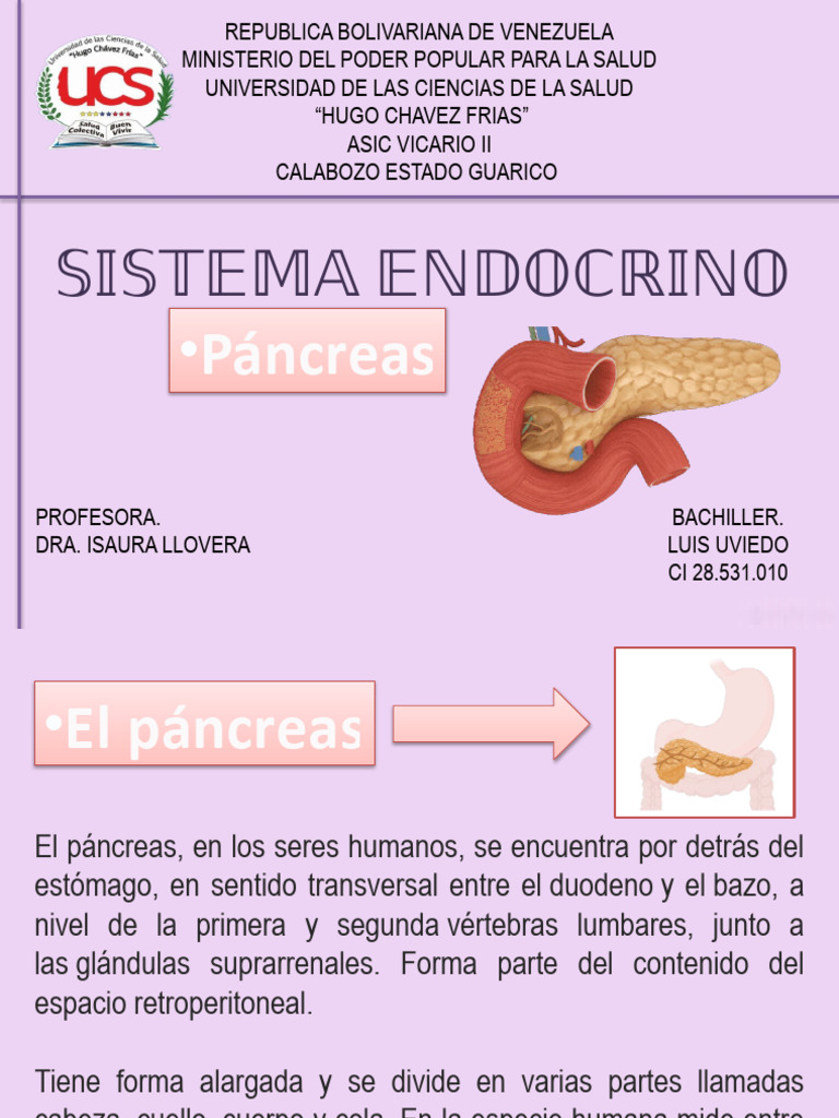 Pancreas | PDF | Páncreas | Gastroenterología