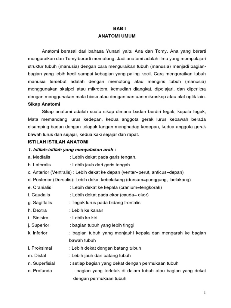 Diktat Anatomi | PDF | Sains & Matematika