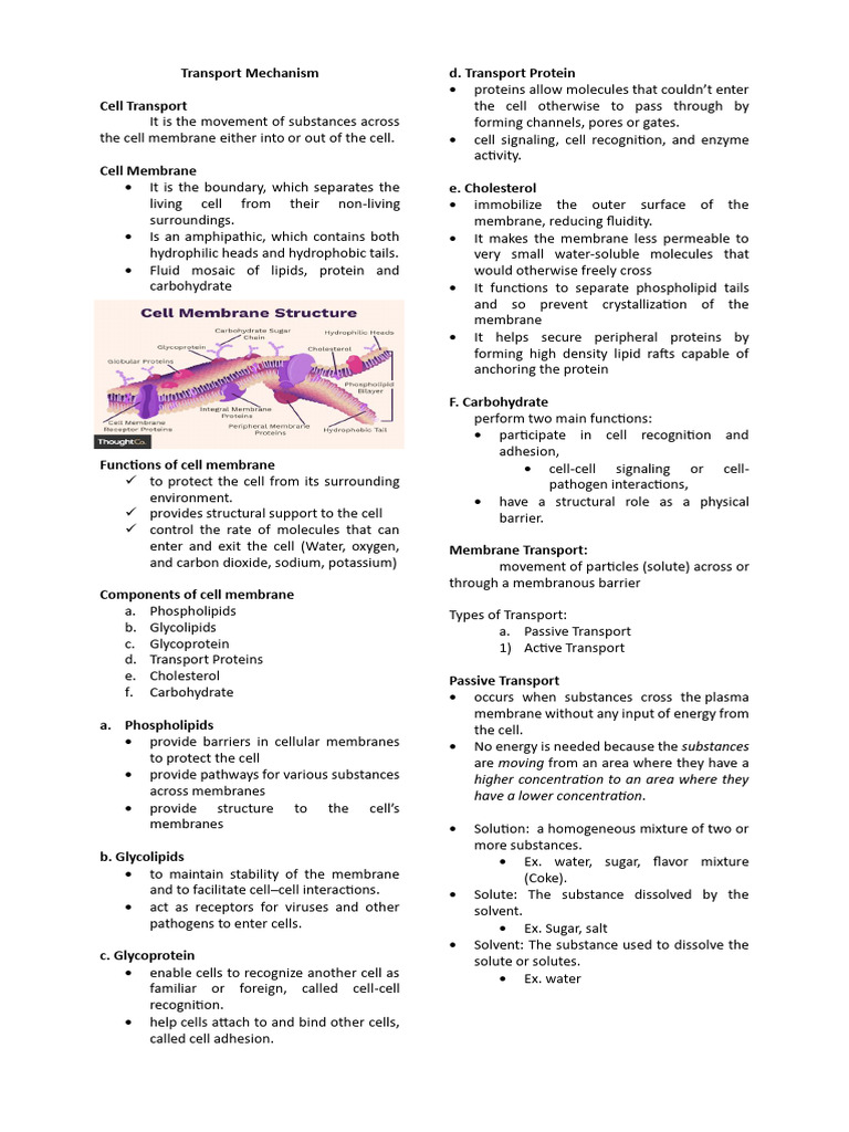 Transport Mechanism | PDF | Cell Membrane | Cell (Biology)