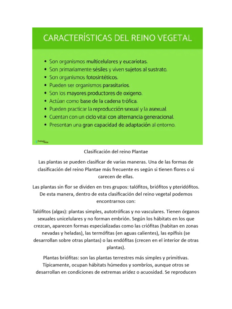 Clasificación Del Reino Plantae | PDF | Plantas | Flores