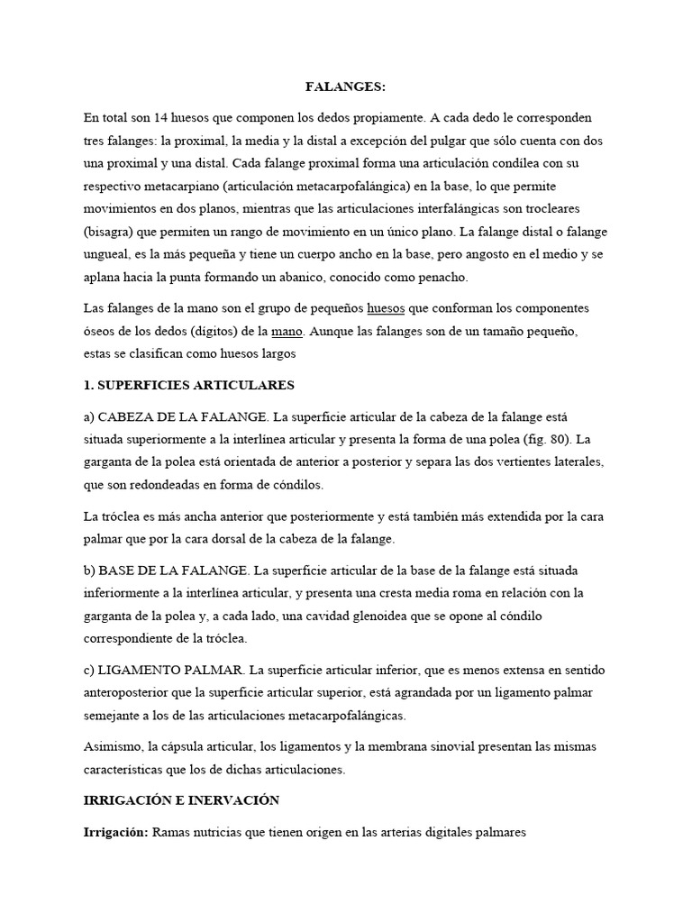 Anatomía de las Falanges de la Mano | PDF | Mano | Articulación