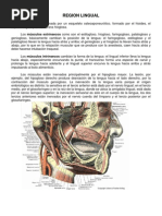 Region Geniana | PDF | Cabeza y cuello humanos | Anatomía humana