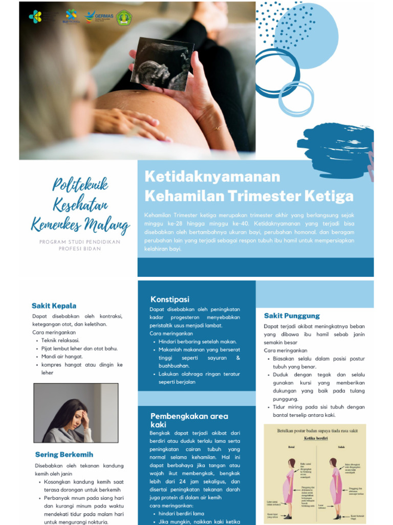 Leaflet Bumil Profesi | PDF