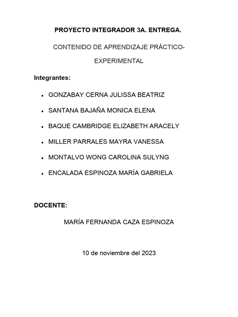 Proyecto Integrador 3° Entrega | PDF | Evaluación | Aprendizaje