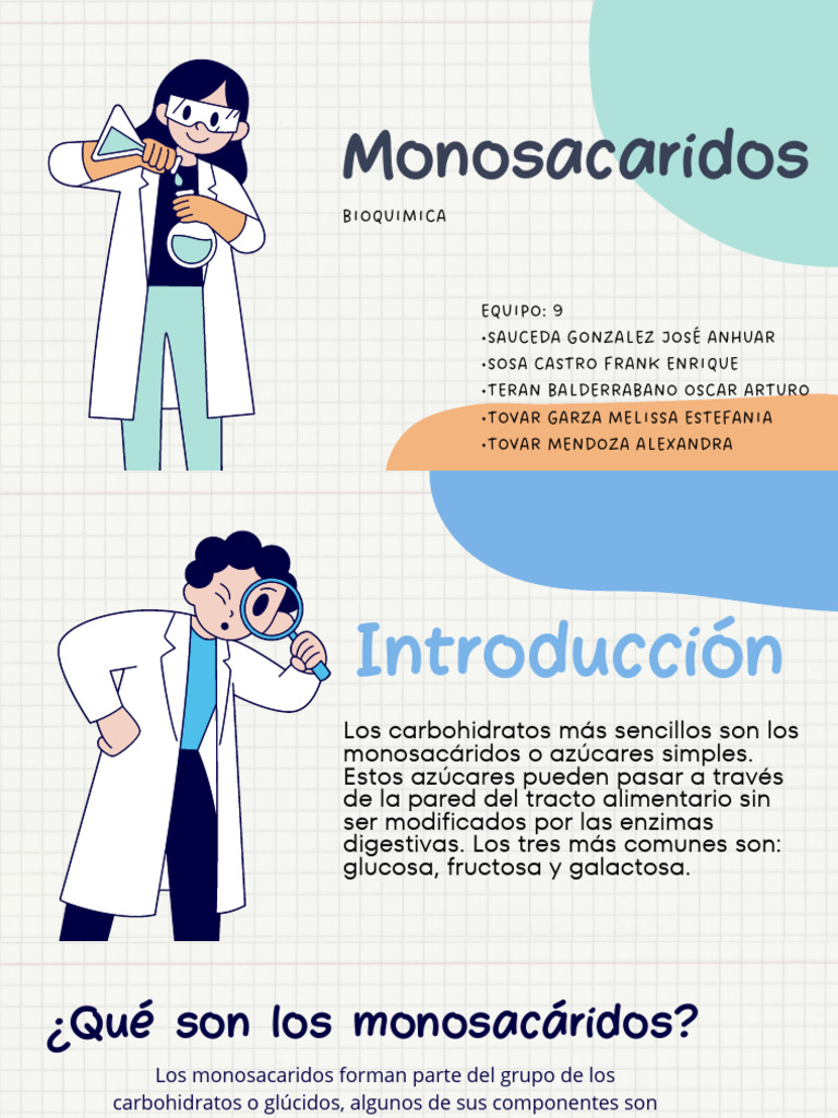 Que Son Los Carbohidratos Monosacaridos