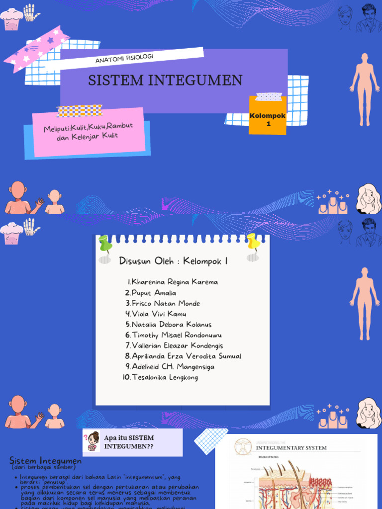 Sistem Integumen - Kelompok 1 - Ok | PDF