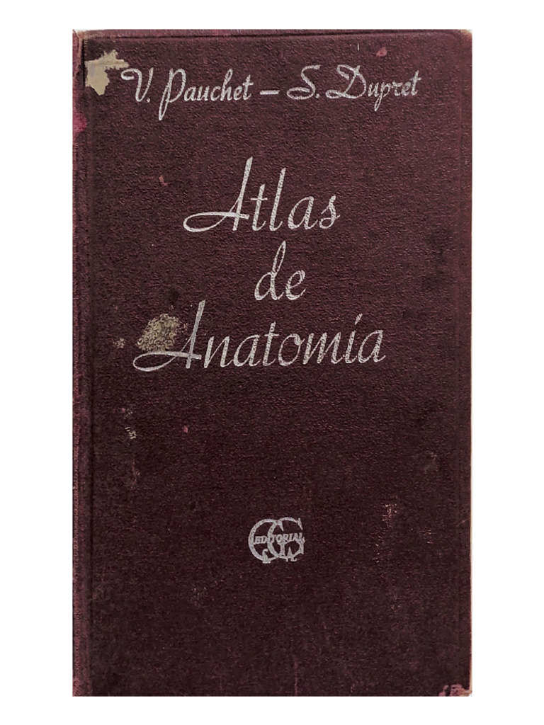 Atlas Manual Pouchet | PDF