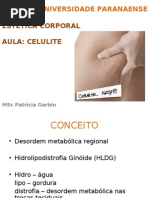 Protocolo Tratamento de Celulite, Gordura Localizada e Flacidez | PDF