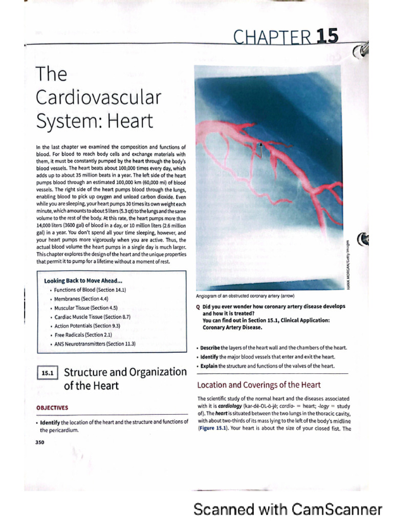 Heart | PDF