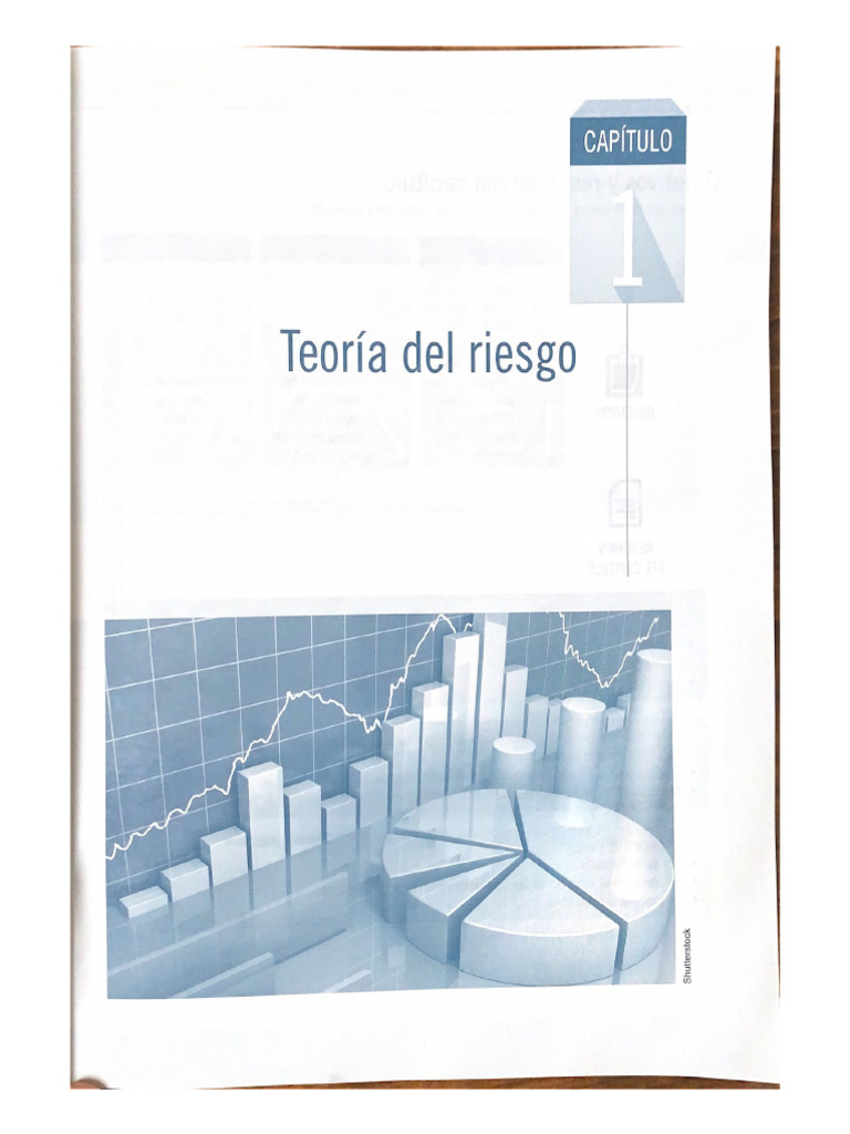 Teoria Del Riesgo | PDF
