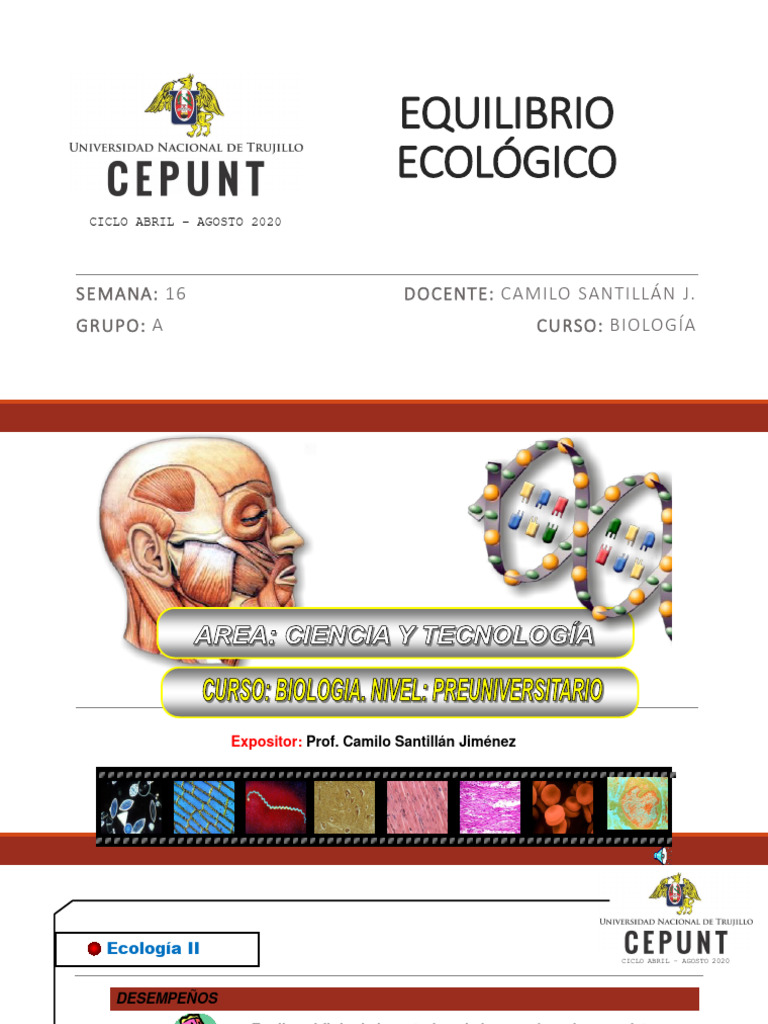 Cepunt Biosem16 Equilibrio Ecologico AULA 1A 3A 2020 Camilo | PDF ...