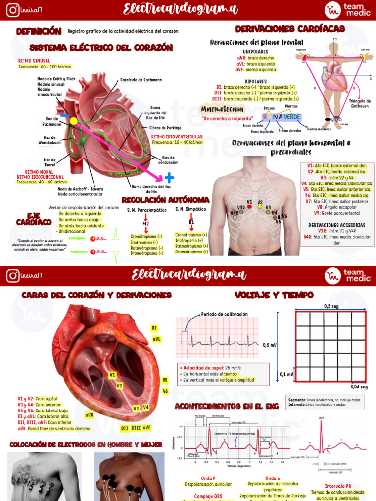 EKG básico | PDF | Electrocardiografia | Sistema circulatorio