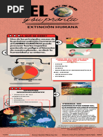 Infografía Identidad de Género | PDF