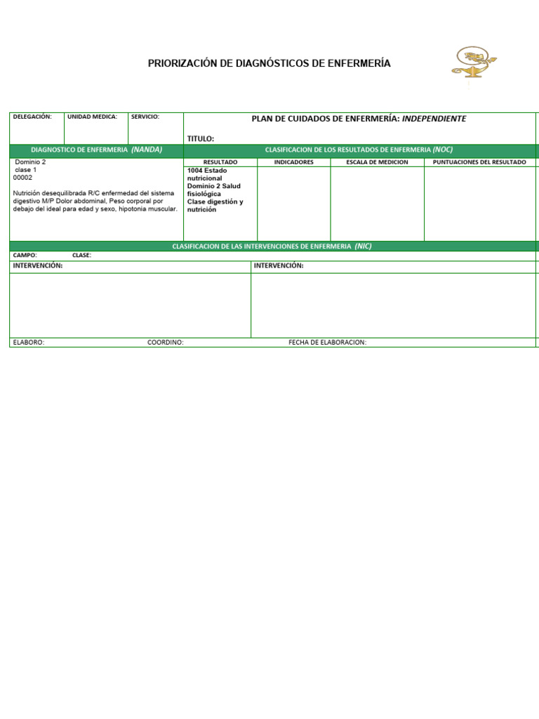 Formato de Pae | PDF