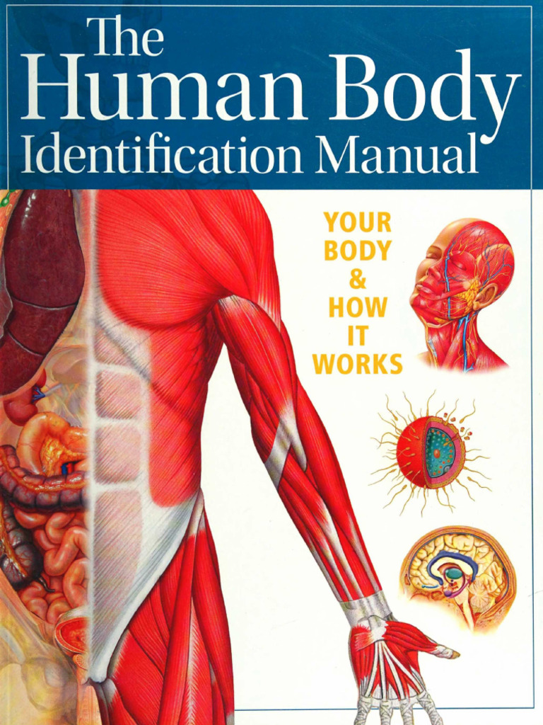 Ken Ashwell - Human Body Identification Manual, Your Body & How It ...