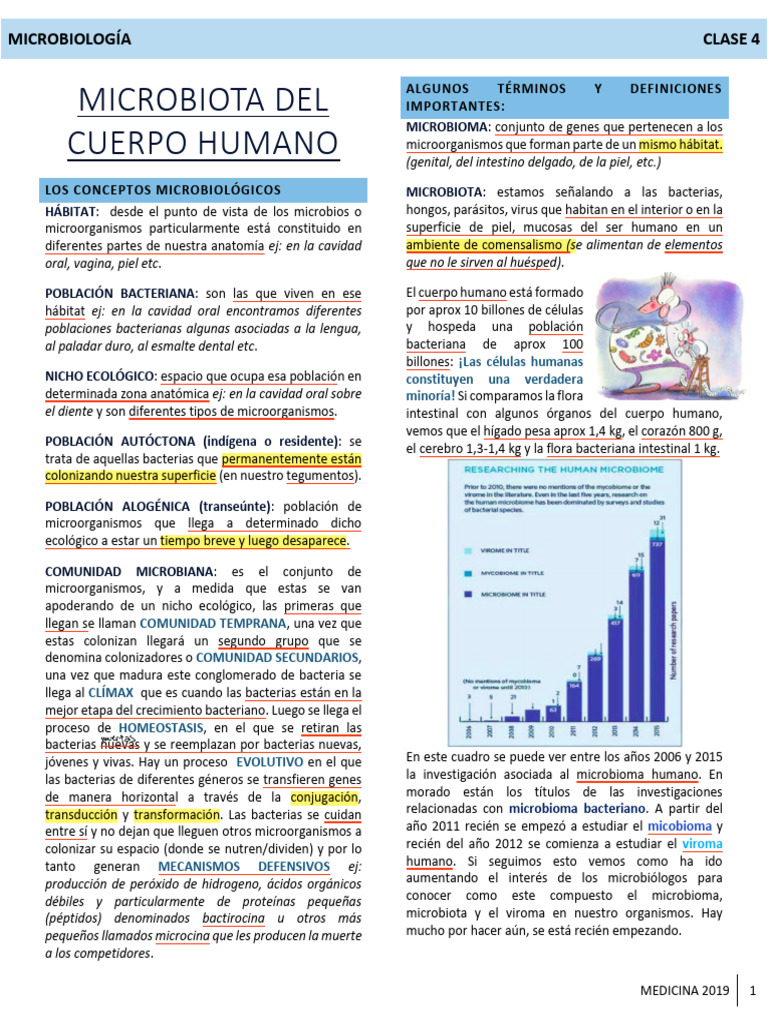 Microbiota Humana: Funciones y Tipos | PDF | Las bacterias ...