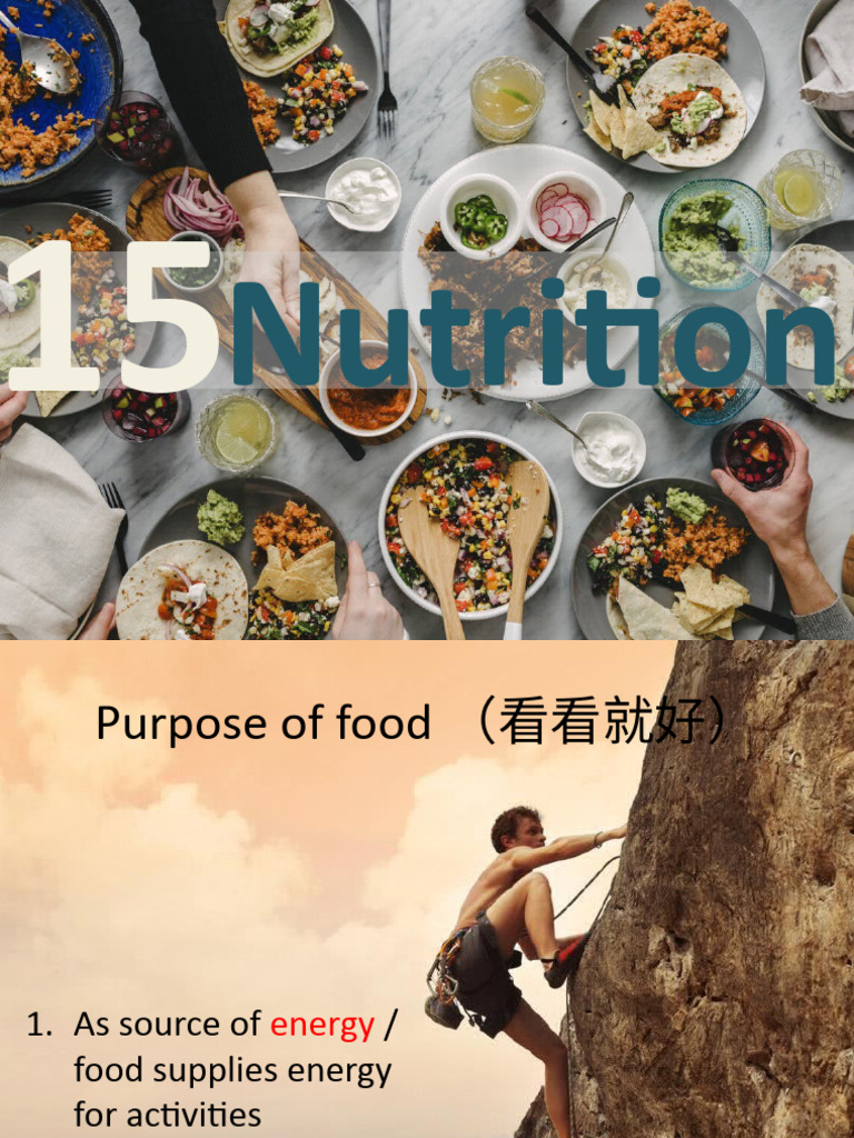 15 Nutrition Pdf Digestion Calorie
