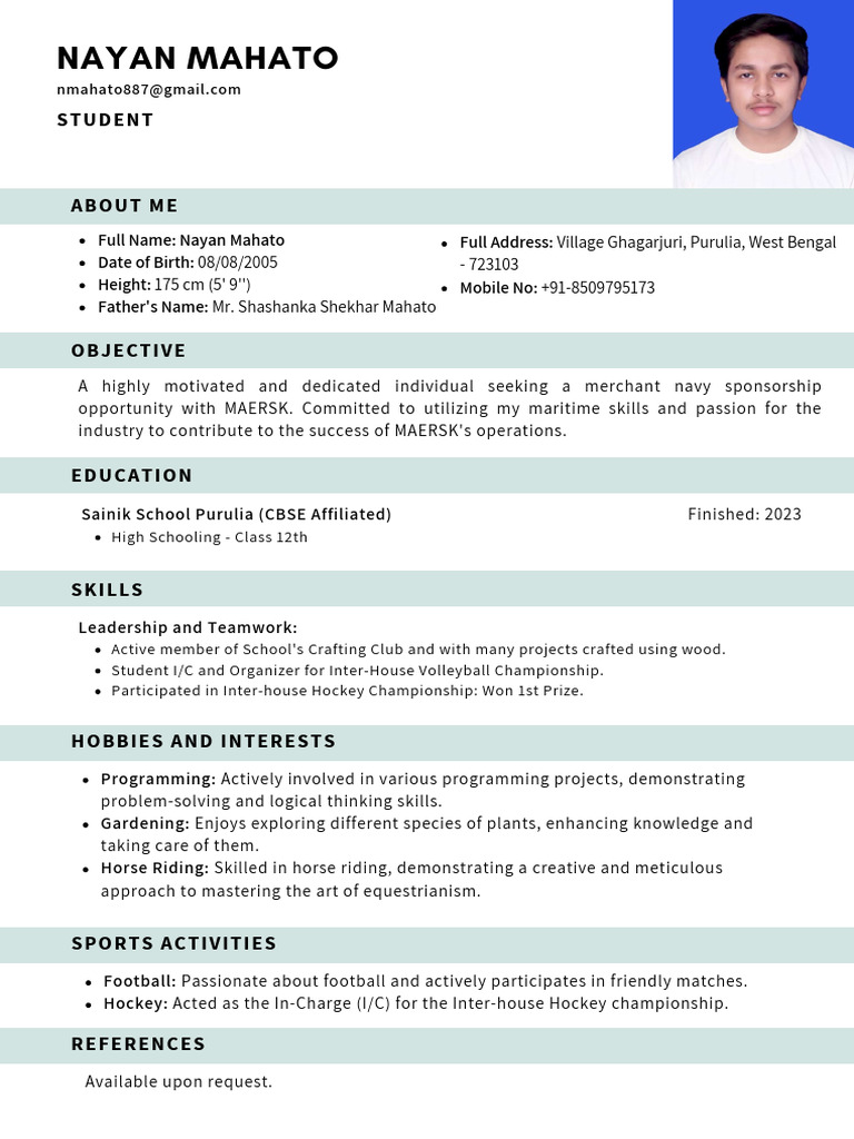 Entry Level Tech Professional Resume Pdf