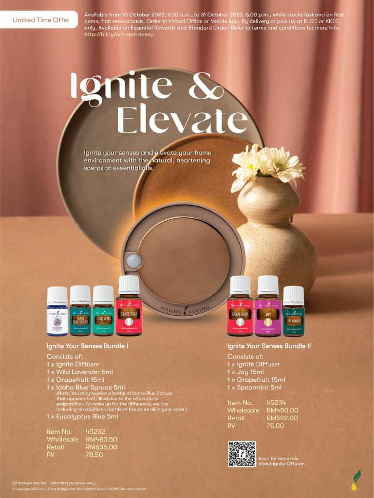 Ignite Bundles | PDF