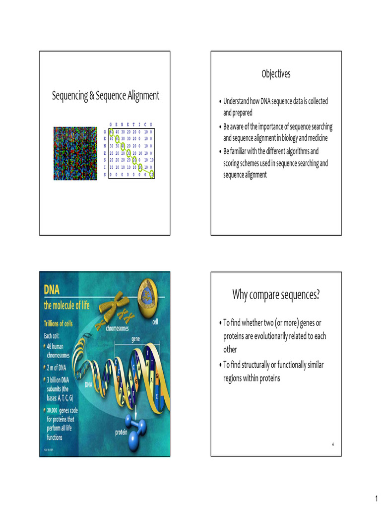 Lec 4 Seq and Seq Align New (相容模式) | PDF | Sequence Alignment ...