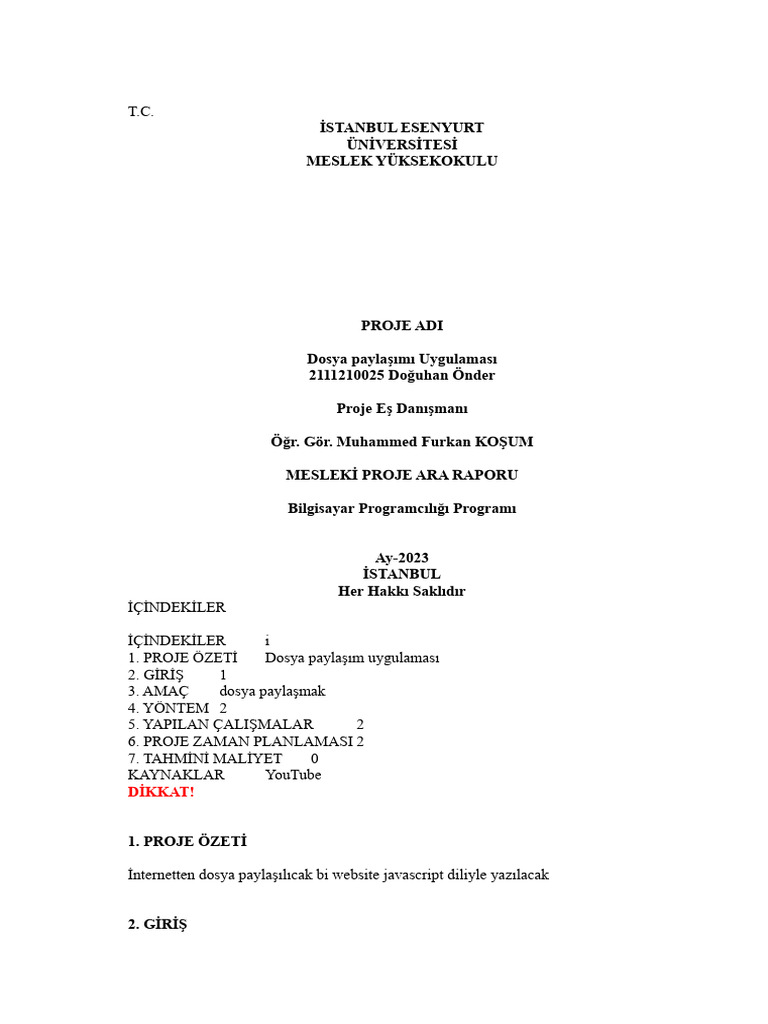 Ek2-Okulno Ad Soyad Mesleki Proje Ara Rapor | PDF