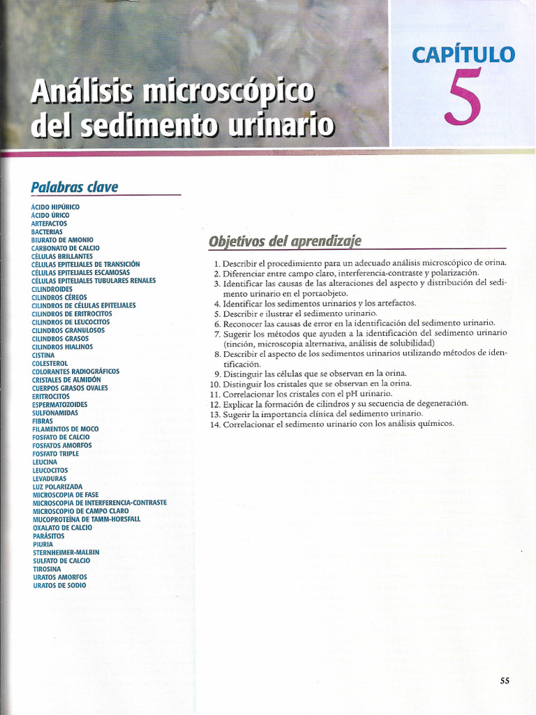 Cap5 Urinalisis | PDF