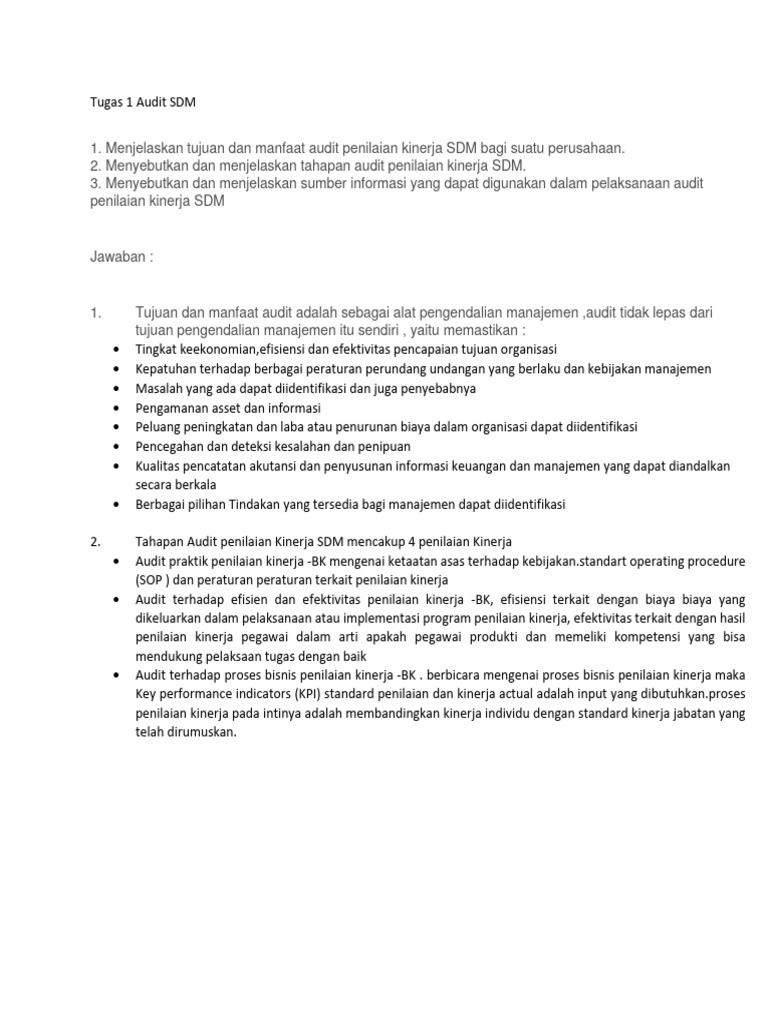 TUGAS 1 Audit SDM | PDF