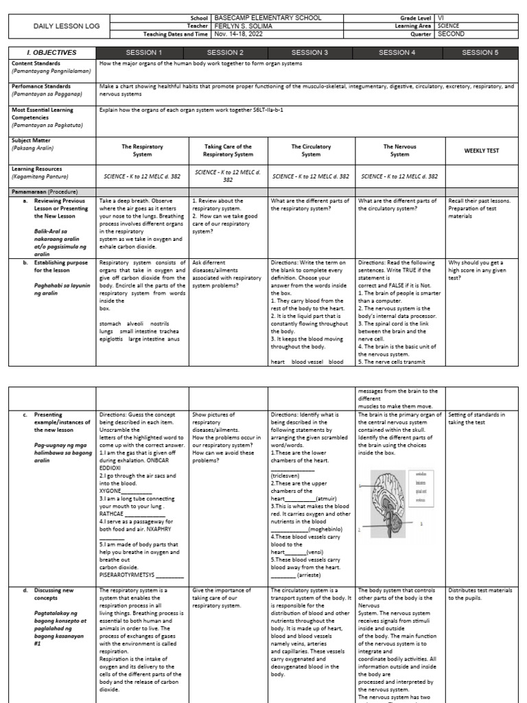 SCIENCE | PDF | Respiratory System | Human Body
