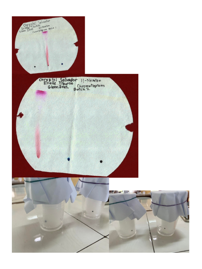 Chromatography 11 NEWTON Batch 1 | PDF | Color | Ink