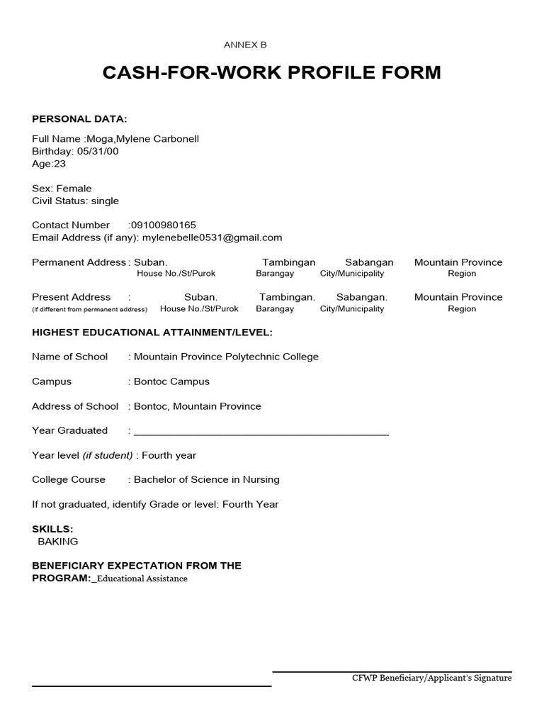 ANNEX-B_-CFWP-PROFILE-FORM | PDF
