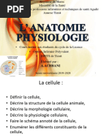 Les Types de Cellules Et Leurs Composants | PDF | Cellule (Biologie ...