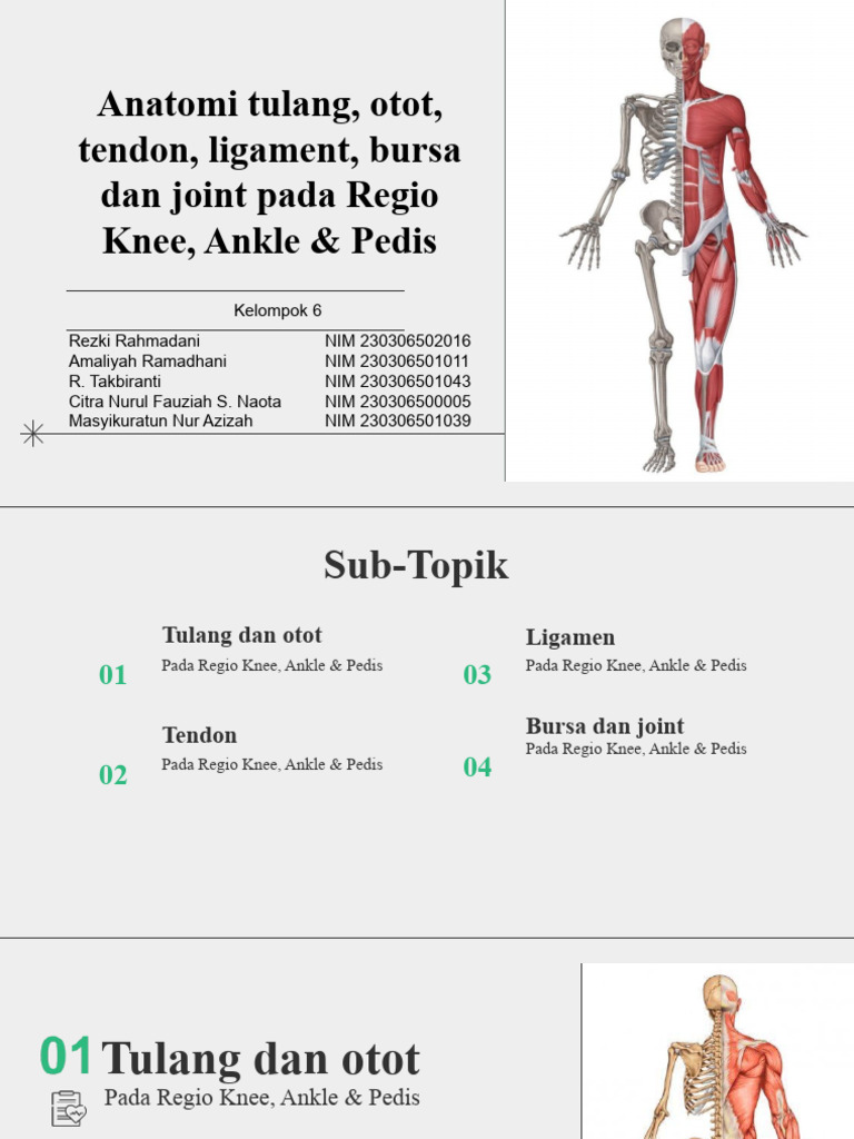 Anatomi Regio Knee, Ankle & Pedis | PDF | Kajian Bahasa Asing | Sains ...
