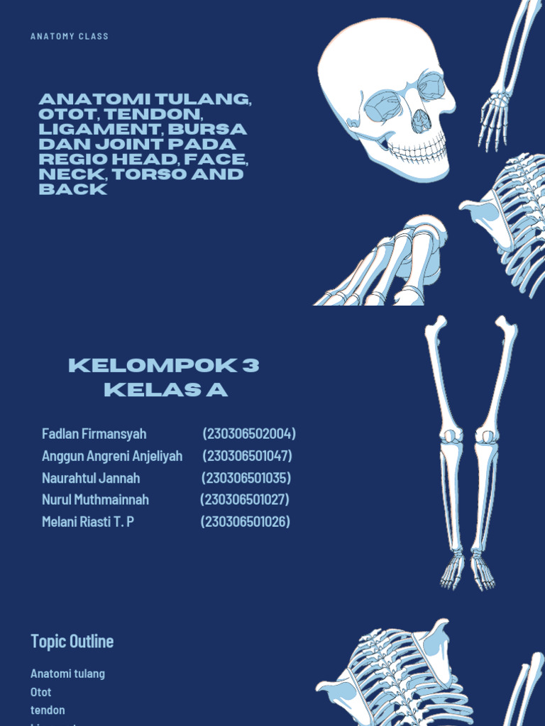 Anatomi Tulang, Otot, Tendon, Ligament, Bursa Dan Joint Pada Regio Head ...