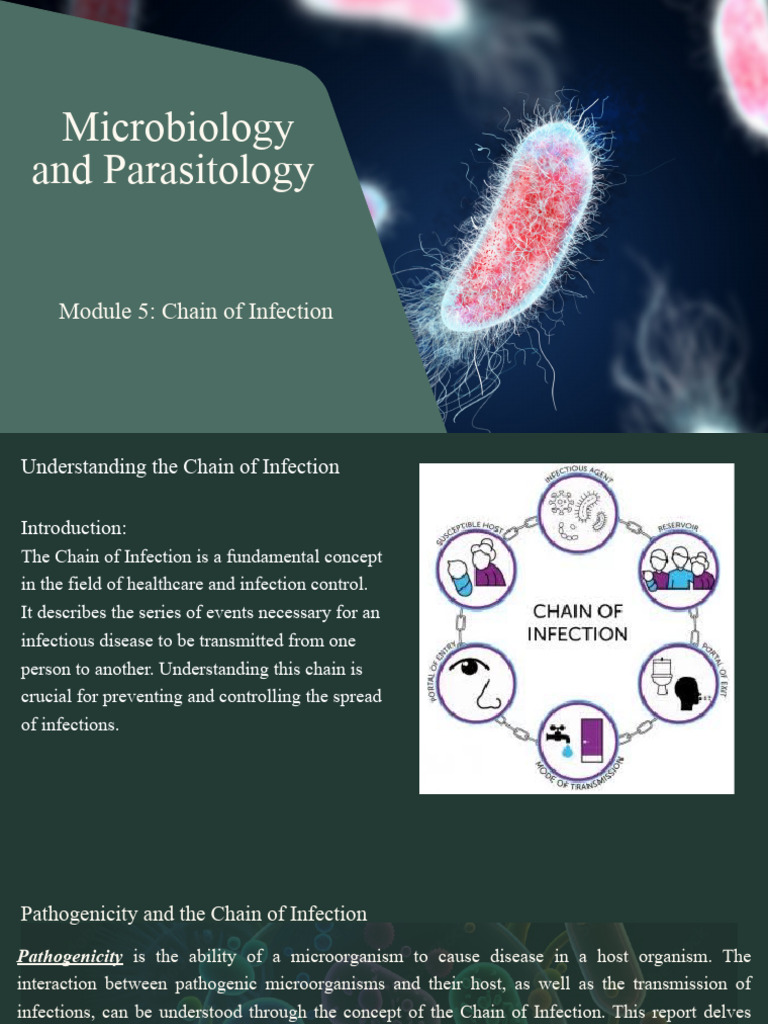 Understanding the Chain of Infection | PDF | Infection | Pathogen