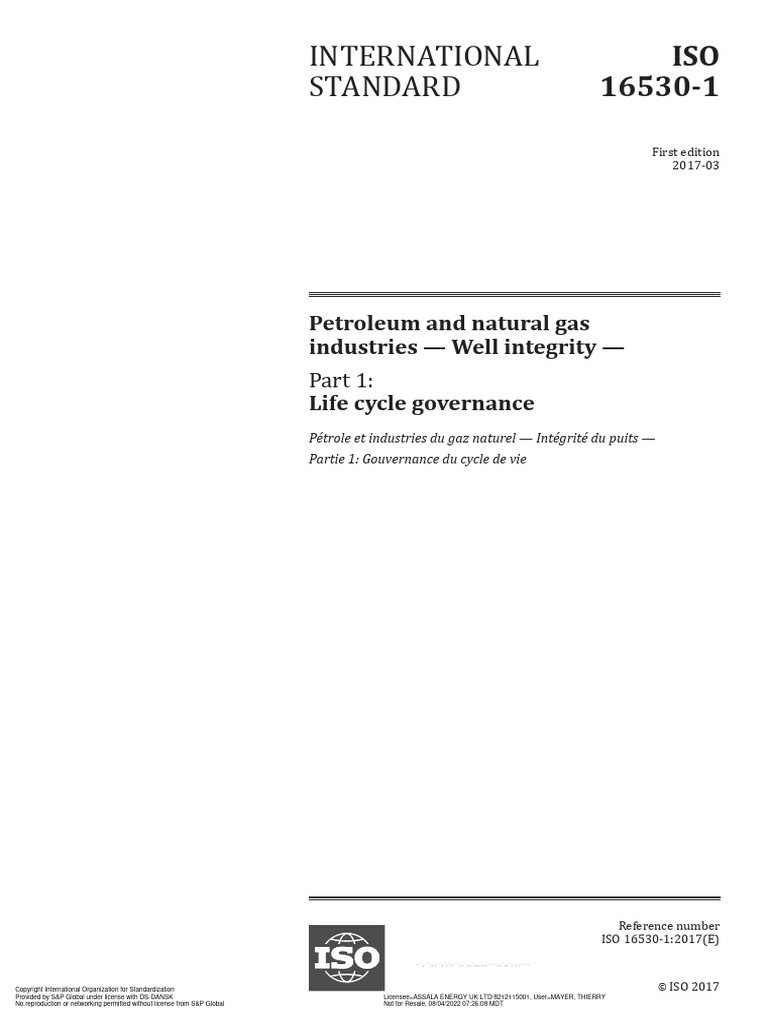 Petroleum & Natural Gas Industries - Well Integrity - Life Cycle ...