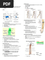 Forearm Supination Rom MMT | PDF