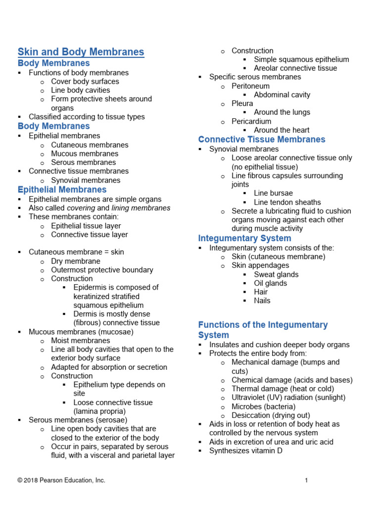 Overview of Skin and Body Membranes | PDF | Integumentary System | Skin