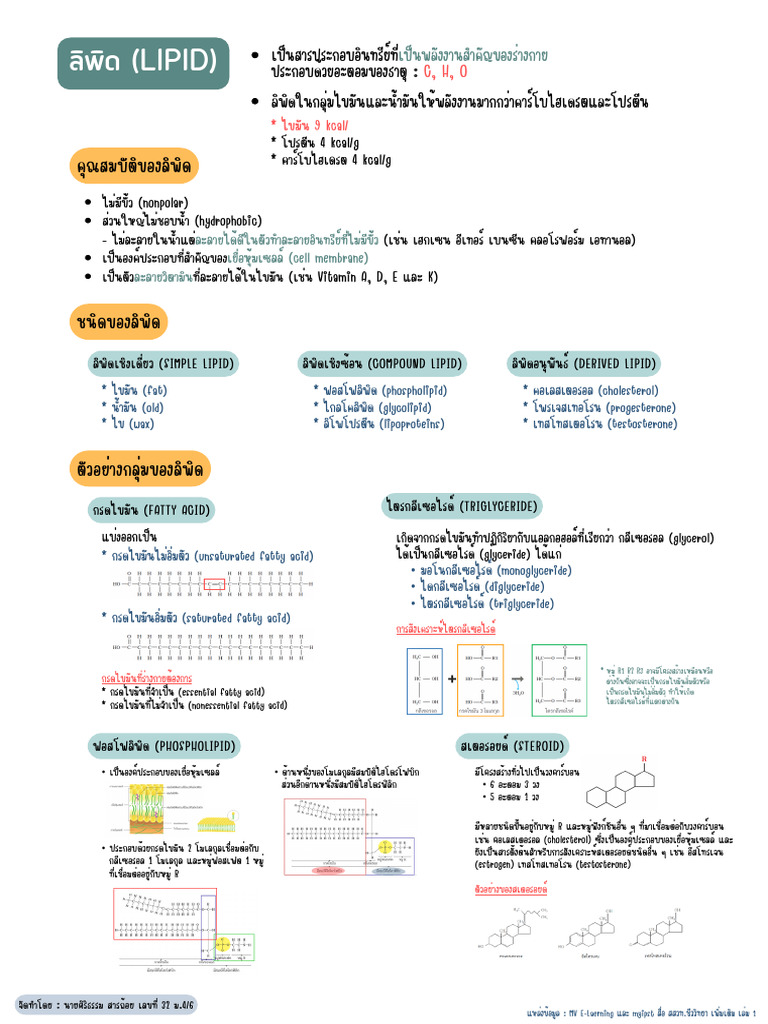 ลิพิด (Lipid) | PDF