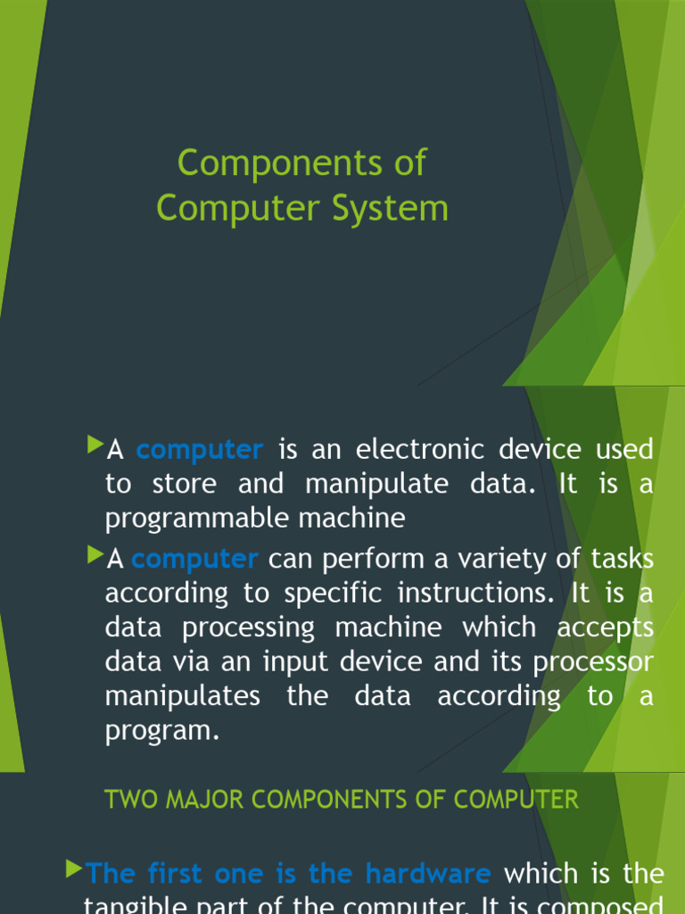 Computer System Components Explained | PDF | Computer Data Storage | Input/Output