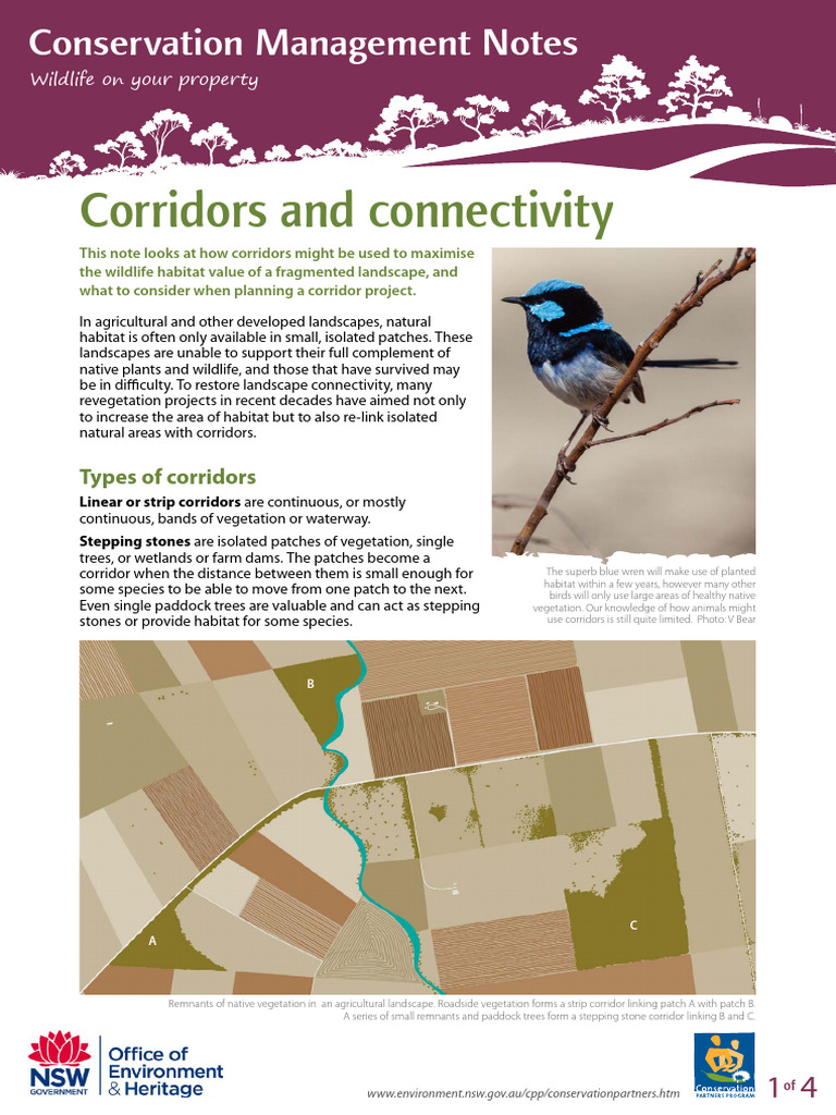 Corridors Connectivity Conservation Management Notes 110657 | PDF ...
