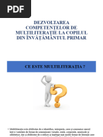 Mapa Cadrului Didactic | PDF