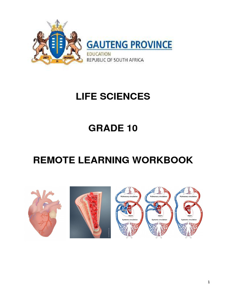 Gr.10 Remote Learning Booklet Term 4 | PDF | Atrium (Heart) | Heart
