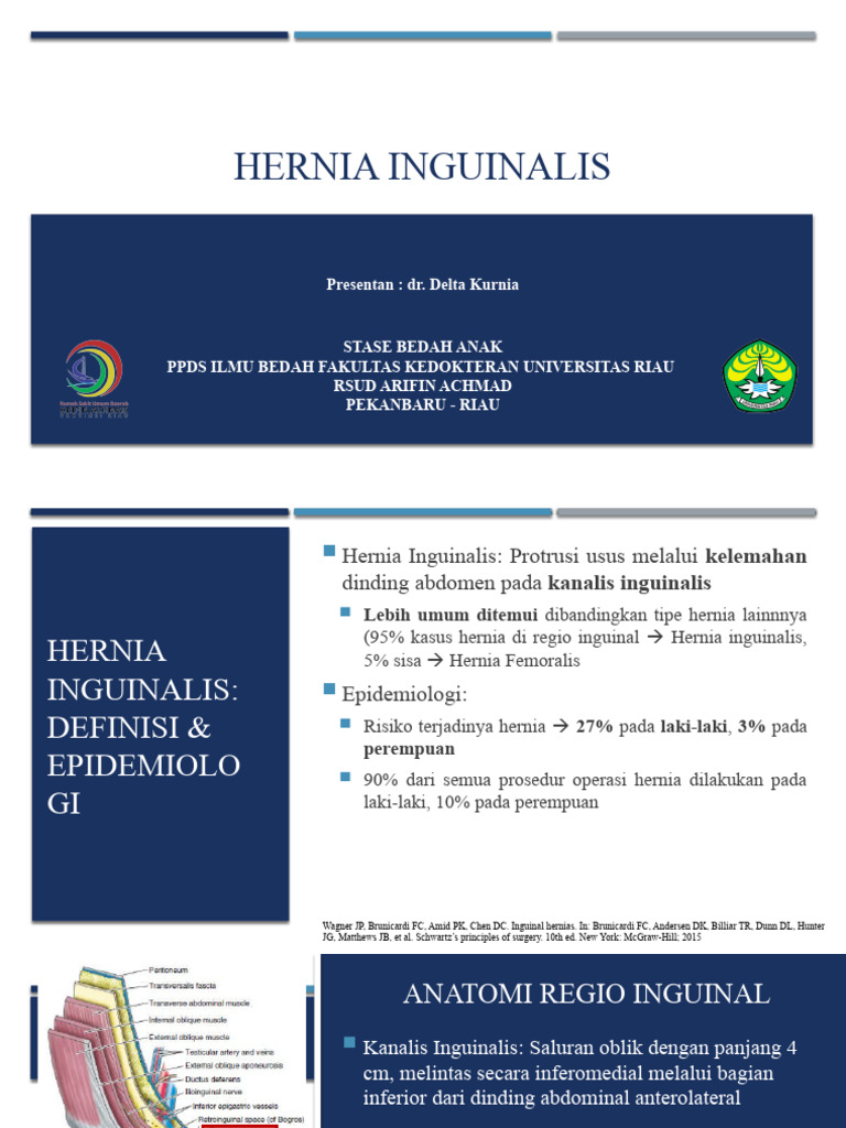 Hernia Inguinalis Dan Penggunaan Mesh - Delta Kurnia | PDF