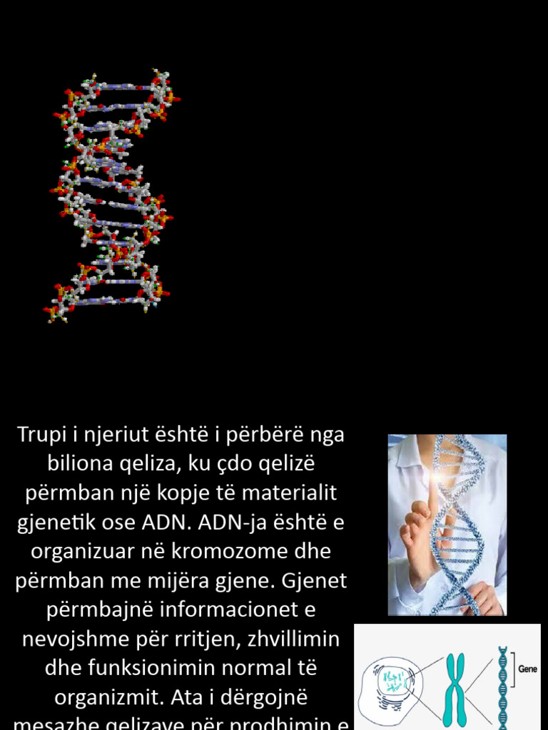 Kontrolli I Gjeneve Dhe Mutacionet | PDF