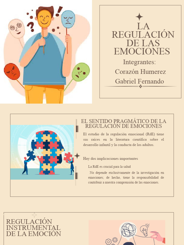 Regulación De Emociones 1 Pdf Las Emociones Autorregulación